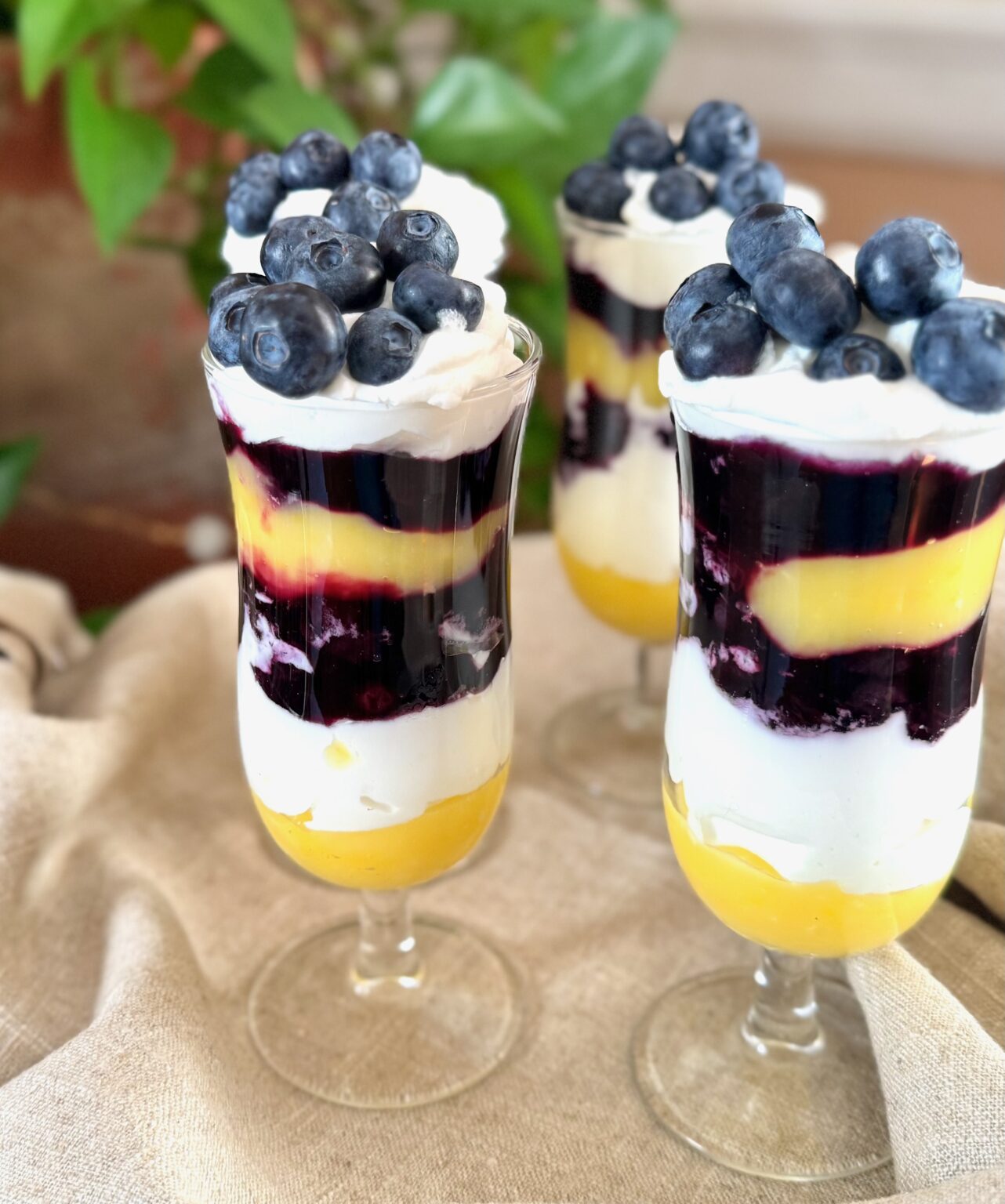 Lemon Blueberry Parfaits | The Good Eats Company
